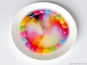 Jelly Bean Experiment - Simple Living. Creative Learning