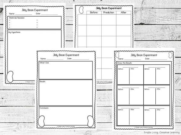 Jelly Bean Experiment - Simple Living. Creative Learning