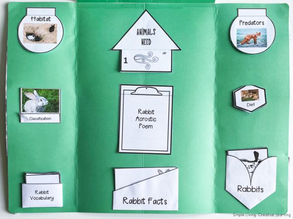 Rabbit Lapbook - Simple Living. Creative Learning