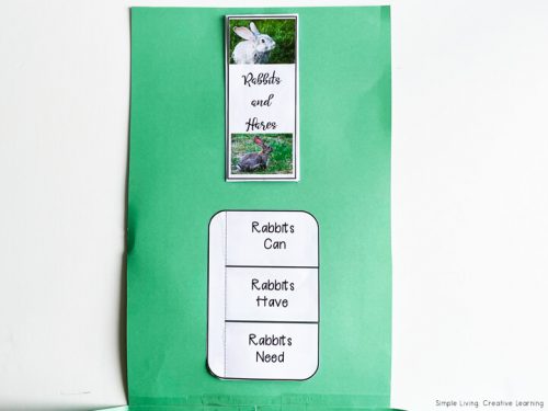 Rabbit Lapbook - Simple Living. Creative Learning