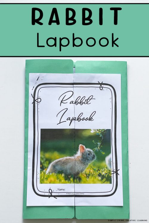 Rabbit Lapbook - Simple Living. Creative Learning