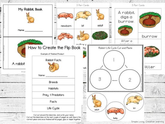 Rabbit Printable Pack - Simple Living. Creative Learning