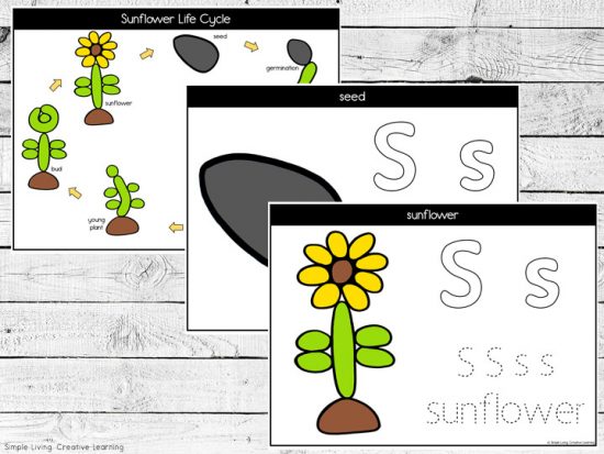 Sunflower Life Cycle Playdough Mats - Simple Living. Creative Learning