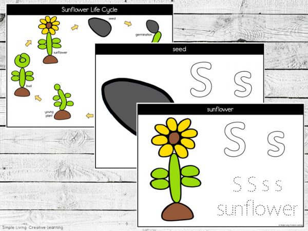 Sunflower Life Cycle Playdough Mats - Simple Living. Creative Learning