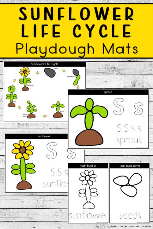 Sunflower Life Cycle Playdough Mats - Simple Living. Creative Learning