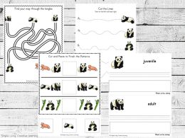 Panda Life Cycle Printables - Simple Living. Creative Learning