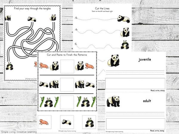 Panda Life Cycle Printables - Simple Living. Creative Learning