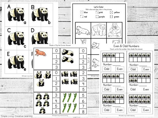 Panda Life Cycle Printables - Simple Living. Creative Learning