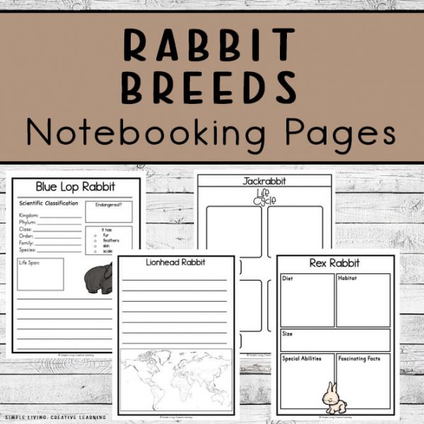 Printables Archives - Page 6 of 76 - Simple Living. Creative Learning