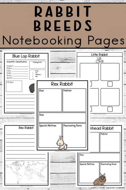 Rabbit Notebooking Pages - Simple Living. Creative Learning