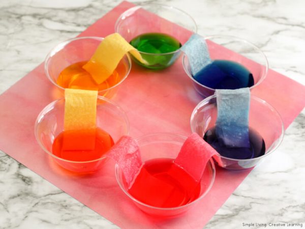 Walking Water Rainbow Experiment - Simple Living. Creative Learning