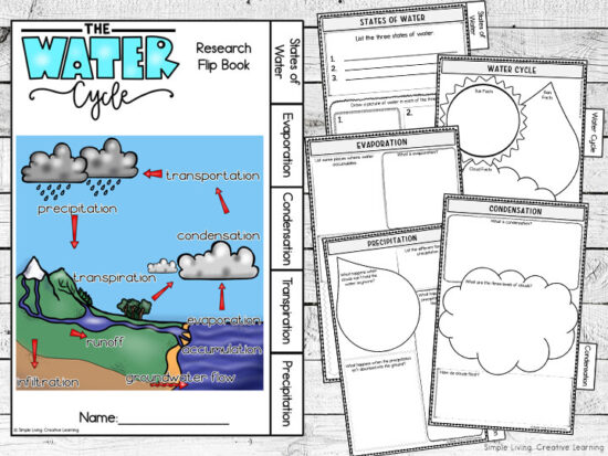 Water Cycle Printables - Simple Living. Creative Learning