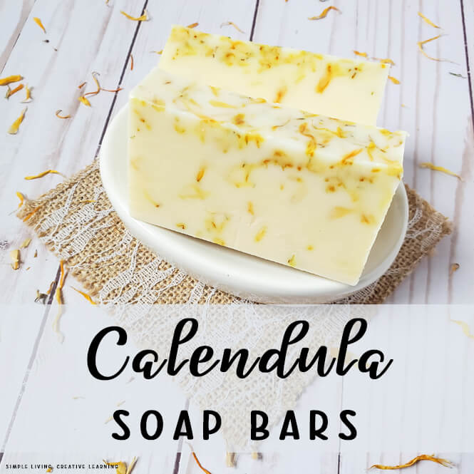 Homemade Calendula Soap - Simple Living. Creative Learning