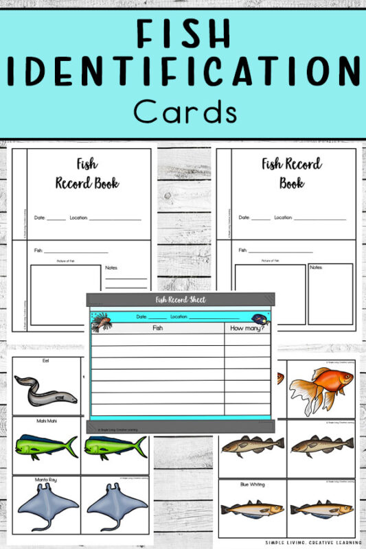 Fish Identification Cards - Simple Living. Creative Learning
