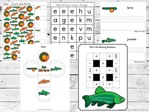 Fish Life Cycle Printables - Simple Living. Creative Learning
