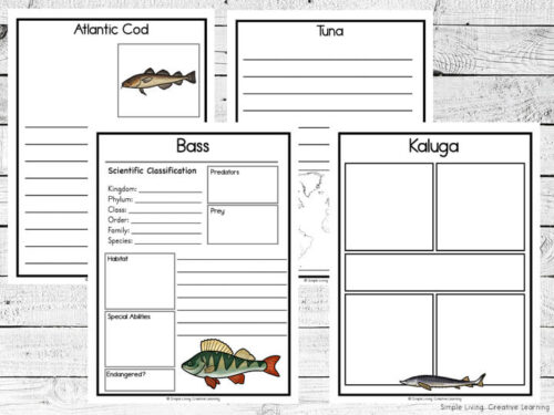 Fish Notebooking Pages - Simple Living. Creative Learning
