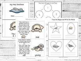 Harp Seal Life Cycle Printables - Simple Living. Creative Learning