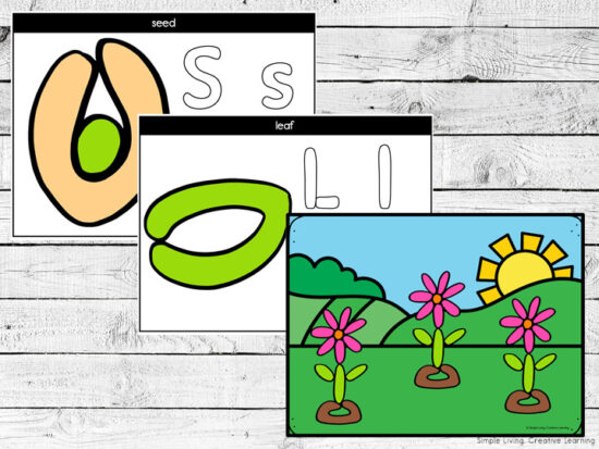 Parts of a Plant Playdough Mats - Simple Living. Creative Learning