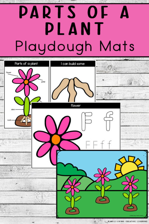 Parts of a Plant Playdough Mats - Simple Living. Creative Learning