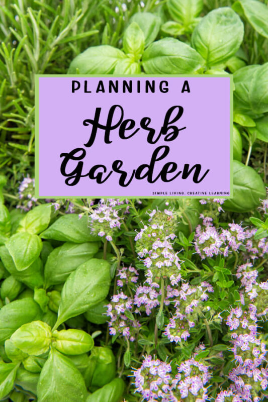 Planning a Culinary Herb Garden - Simple Living. Creative Learning