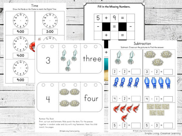 Squid Life Cycle Printables - Simple Living. Creative Learning