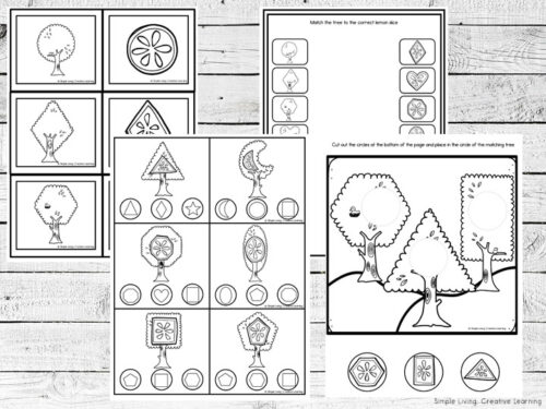 Lemon Tree Shapes Pack - Simple Living. Creative Learning