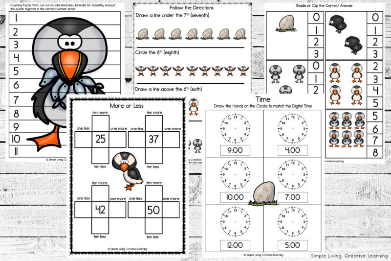 Puffin Life Cycle Printables - Simple Living. Creative Learning