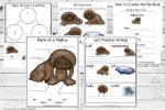 Walrus Life Cycle Printables - Simple Living. Creative Learning