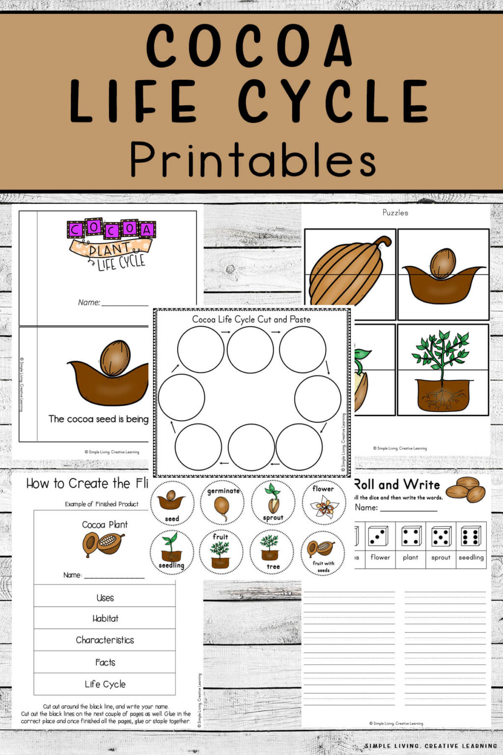 Cocoa Life Cycle Printables - Simple Living. Creative Learning