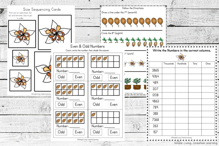 Cocoa Life Cycle Printables - Simple Living. Creative Learning