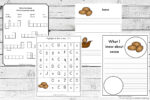 Cocoa Life Cycle Printables - Simple Living. Creative Learning