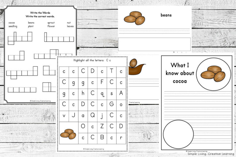 Cocoa Life Cycle Printables - Simple Living. Creative Learning