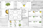 Lemon Tree Life Cycle Printables - Simple Living. Creative Learning