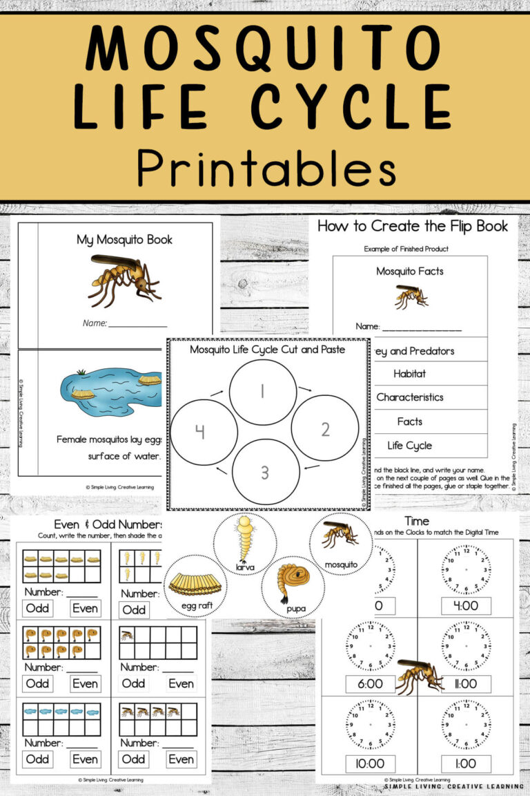 Mosquito Life Cycle Printables - Simple Living. Creative Learning