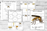 Mosquito Life Cycle Printables - Simple Living. Creative Learning