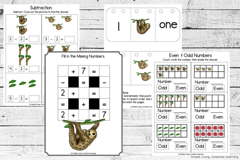 Sloth Life Cycle Printables - Simple Living. Creative Learning