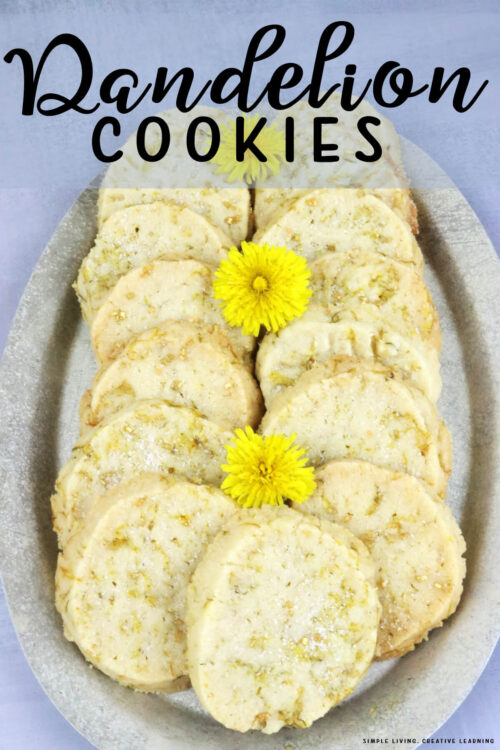 Dandelion Cookies - Simple Living. Creative Learning