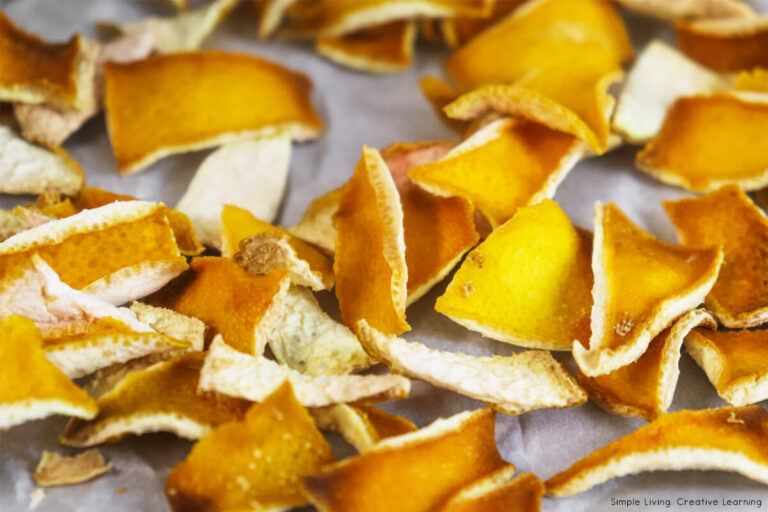 How to Dehydrate Lemon Peels and make Lemon Powder - Simple Living ...