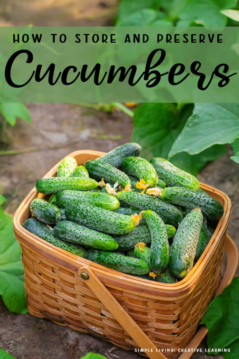 Ways to Preserve Cucumbers - Simple Living. Creative Learning