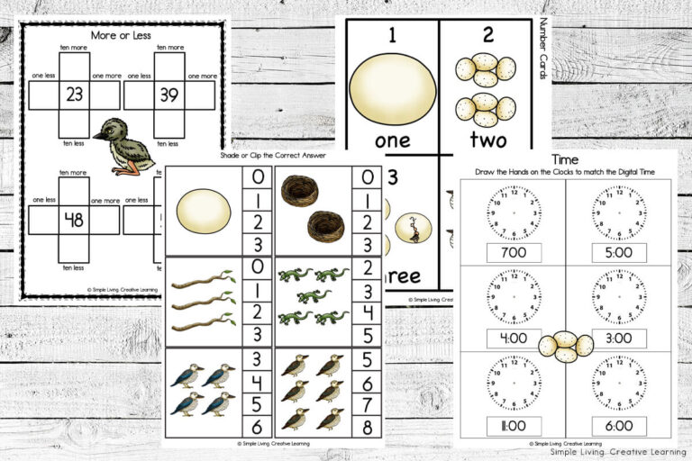 Kookaburra Life Cycle Printables - Simple Living. Creative Learning