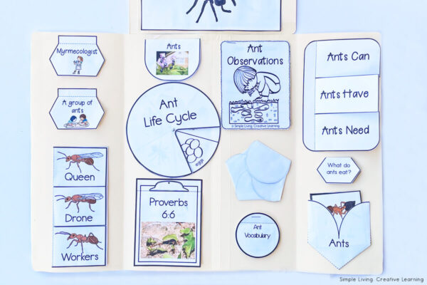Ant Lapbook - Simple Living. Creative Learning