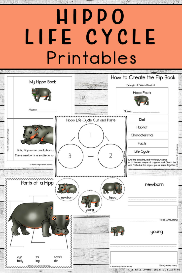 Hippo Life Cycle Printables - Simple Living. Creative Learning