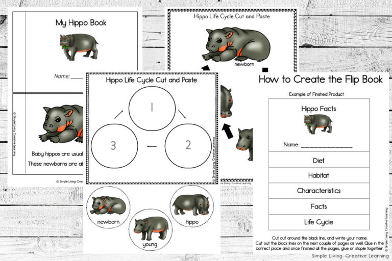 Hippo Life Cycle Printables - Simple Living. Creative Learning