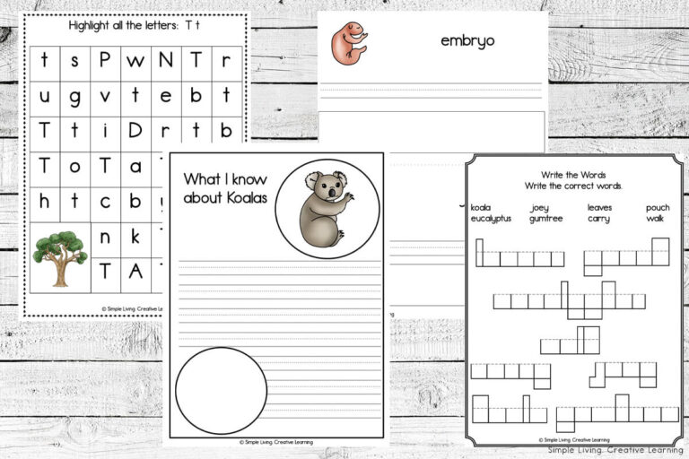 Koala Life Cycle Printables - Simple Living. Creative Learning