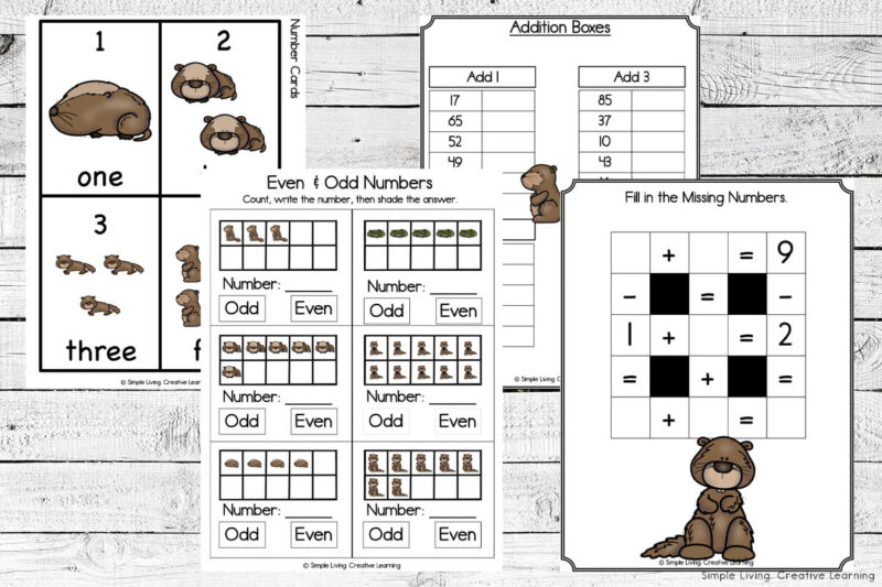 Groundhog Life Cycle Printables - Simple Living. Creative Learning