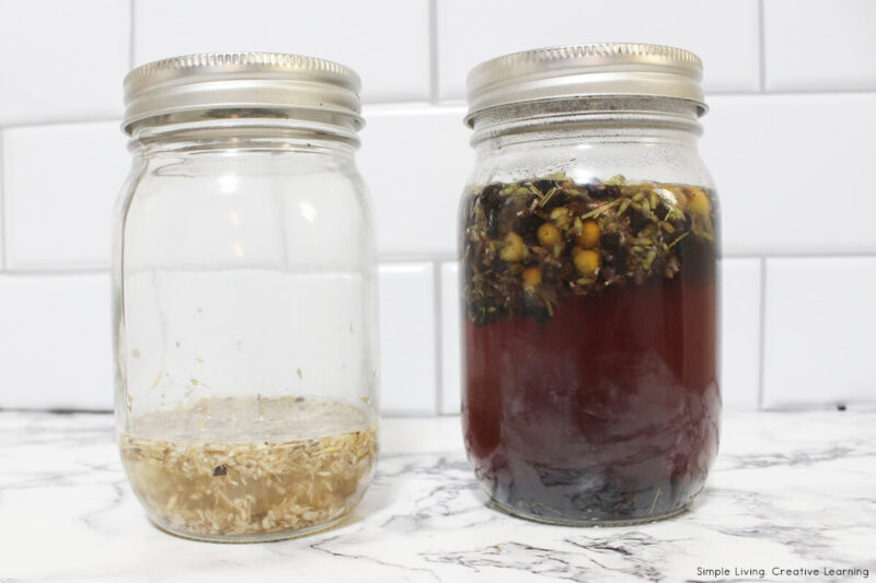 How to Make Herbal Cold Tea Bombs - Simple Living. Creative Learning