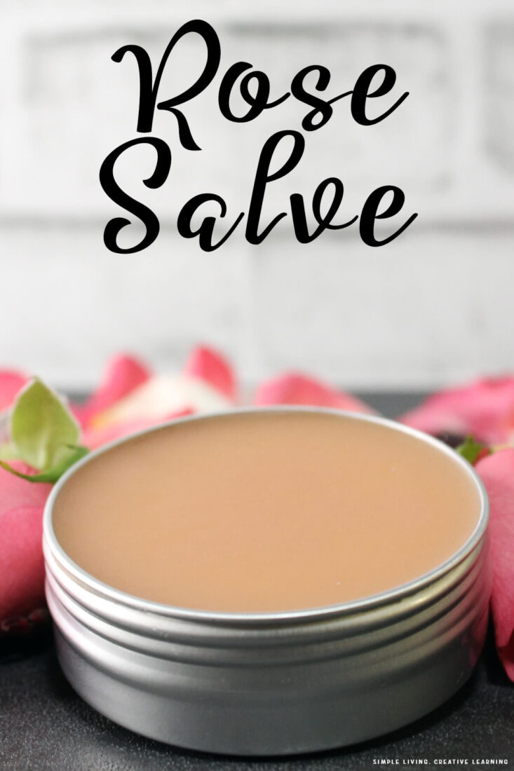 How to Make Rose Salve - Simple Living. Creative Learning