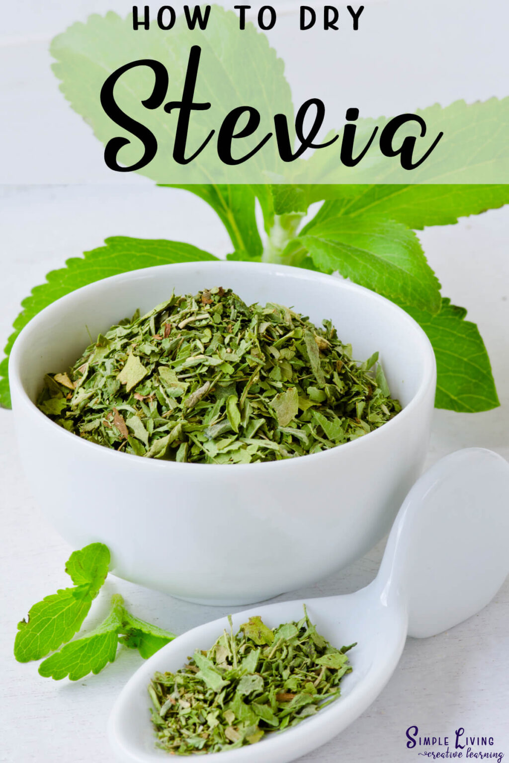 How to Dry Stevia - Simple Living. Creative Learning