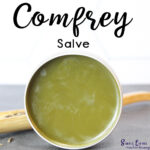 Homemade Comfrey Salve - Simple Living. Creative Learning