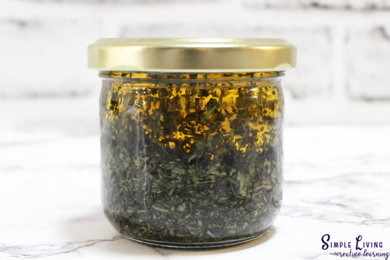 Homemade Healing Plantain Salve - Simple Living. Creative Learning